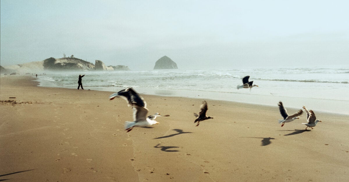 Summer Sadness — Just as Real as the Winter Blues